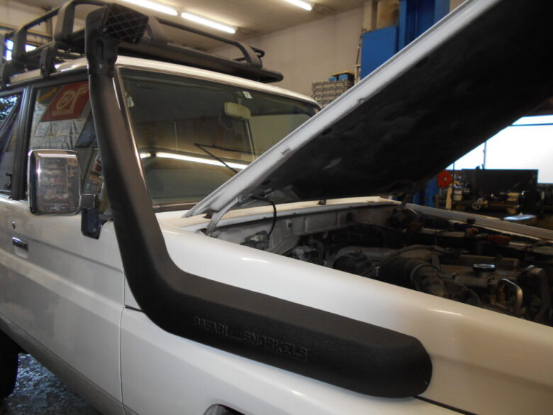 サファリシュノーケル | HallShot